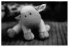 Spring vs Java EE par Minimoysa - page 1 - OpenClassrooms