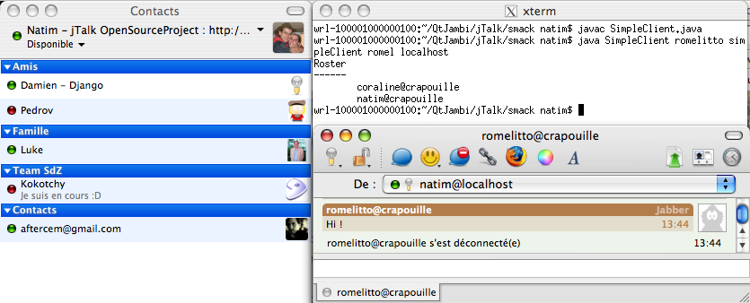 [Java] Un client Jabber Multi plateforme avec gestion de la webcam - Un client Jabber par Natim ...