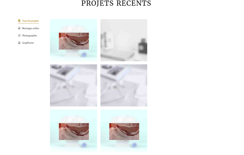 [Résolu] Vignettes html css responsive portoflio par StéphanieReboul1 ...