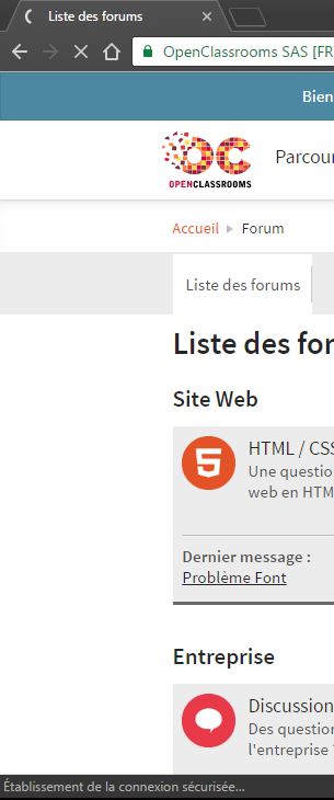 [Résolu] Problème de connexion avec mes navigateurs - Chargement des ...