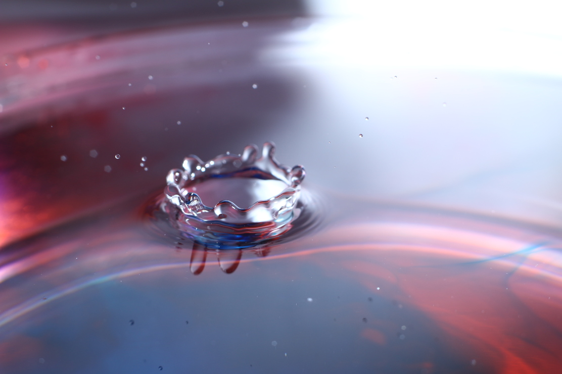 Problème Variable Python Flask Et Html Input Par Blackbird973 Page 1 Openclassrooms