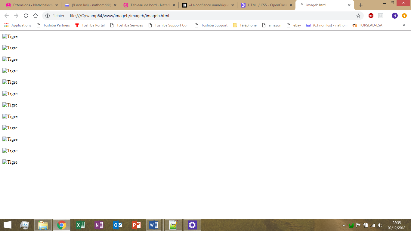 exercices du cours bootstrap par Natacha le chat - page 1 - OpenClassrooms