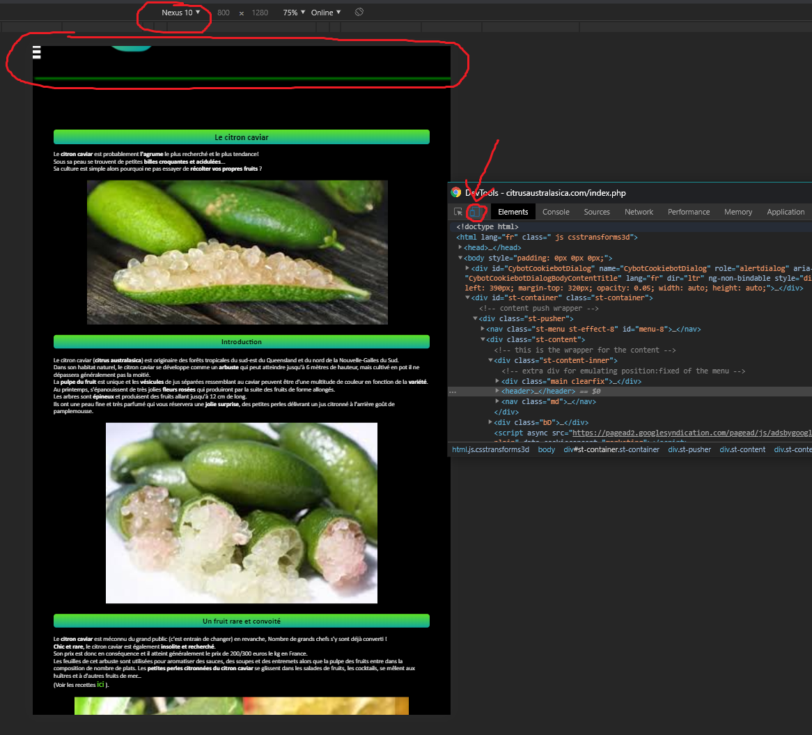 [HELP] code qui inclut un padding par JeanRien - page 1 - OpenClassrooms