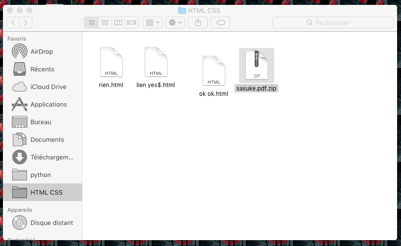 Creer un lien de téléchargement ZIP sur html par RayanHn1 - page 1 ...