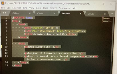 [Résolu] Mettez en place le CSS - impossible d'avoir la couleur bleu ...