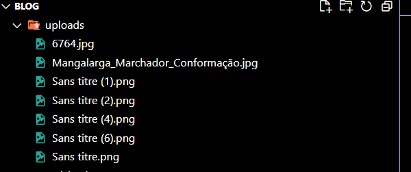 [Résolu] Comment afficher des images PHP MYSQL par Spawnkiller66 - page ...