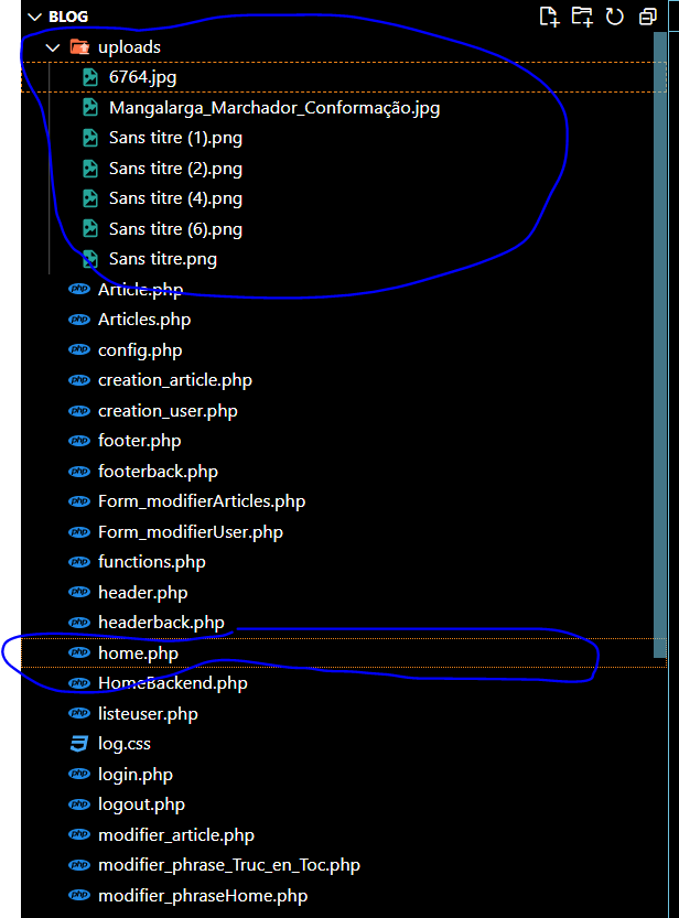 [Résolu] Comment afficher des images PHP MYSQL par Spawnkiller66 - page ...