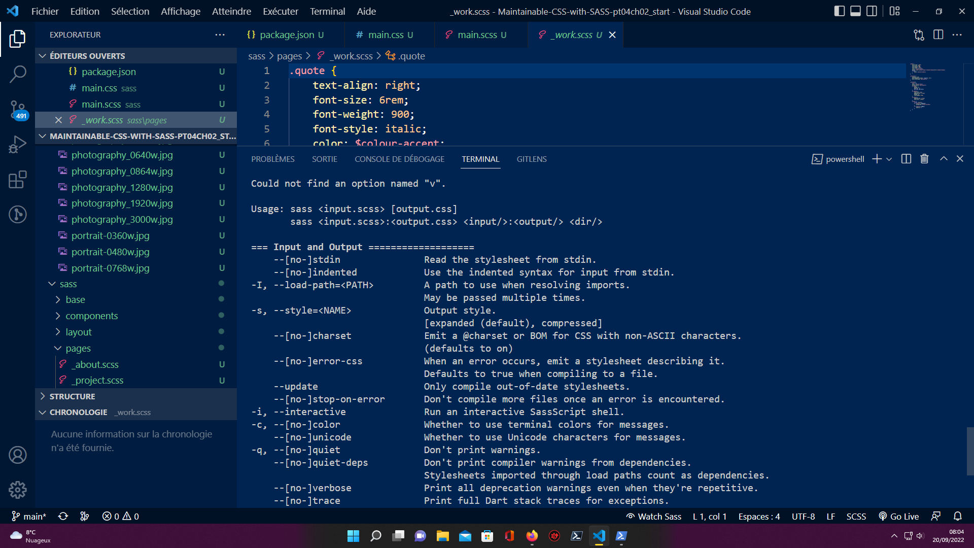instal sass sur visual studio code par AlainPierresardou1 - page 1 ...