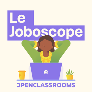 Formation Développeur d'application - Android - OpenClassrooms